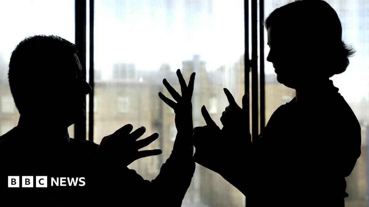 Council to review provision of British Sign Language interpreters - BBC ...