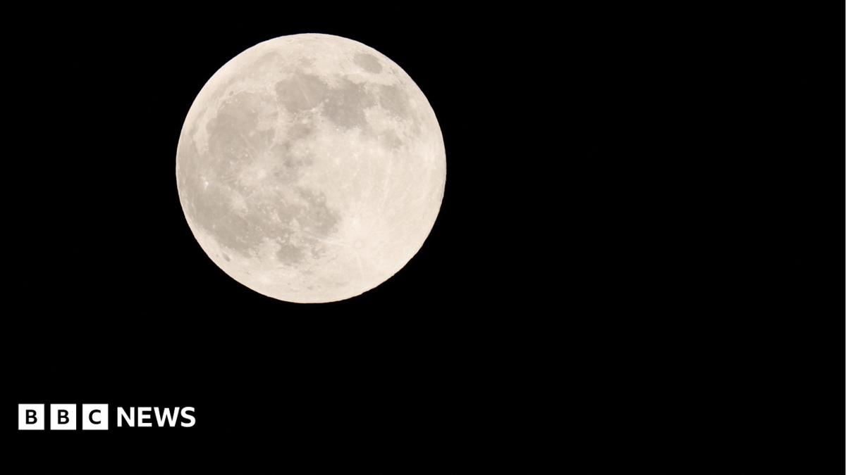 Headlines: 'October Harvest Moon' and 'fox stuck in Specsavers' - BBC News