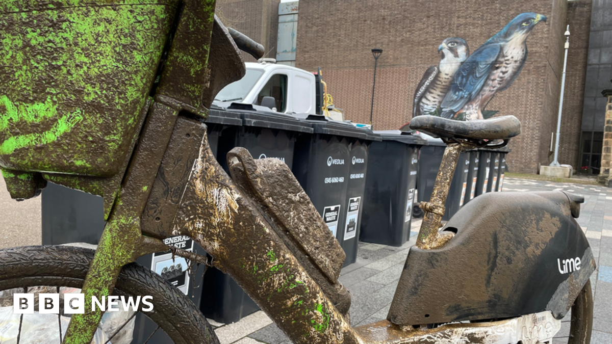 Dozens take part in Derby river clean-up event - BBC News