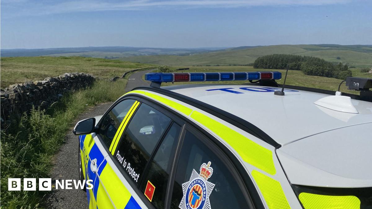 Northumbria poaching offences fall by 50% after team set up - BBC News