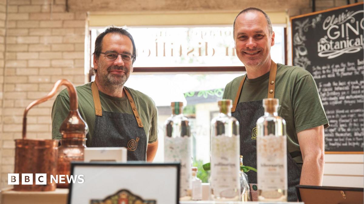Dovey Native Botanical Gin first in UK to get protected status - BBC News