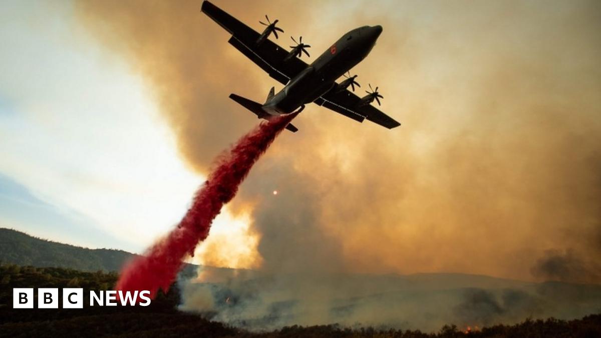 California wildfire declared 'largest in state's history' - BBC News