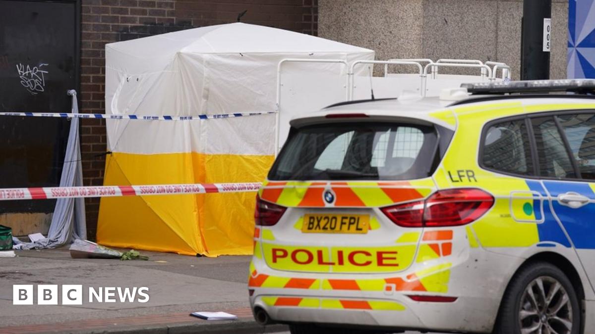 Croydon stabbing is every parent's worst nightmare - police - BBC News