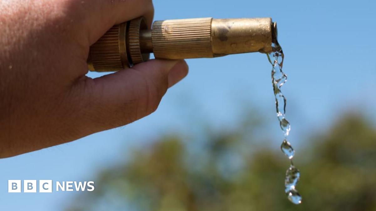 Thames Water hosepipe ban continues into autumn despite rainfall - BBC News