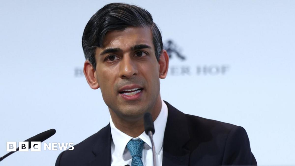 NI Protocol: Will Rishi Sunak's deal pass DUP checkpoint? - BBC News