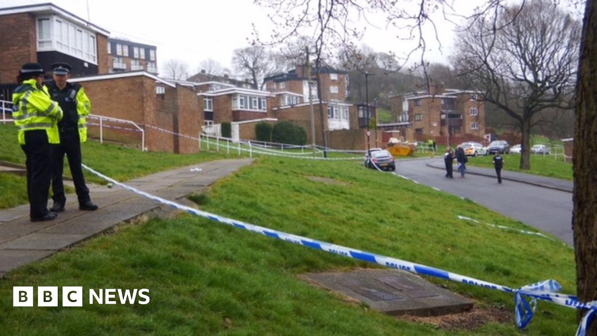 Sheffield woman killed in 'targeted' stabbing - BBC News