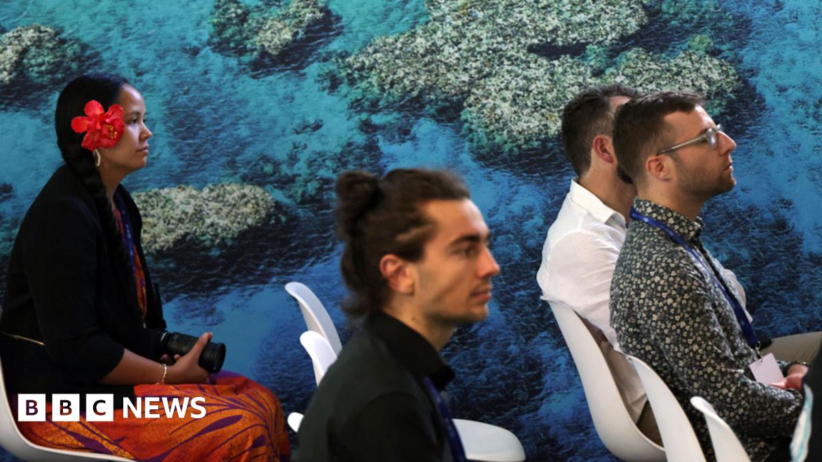 What was agreed on climate change at COP28 in Dubai? - BBC News