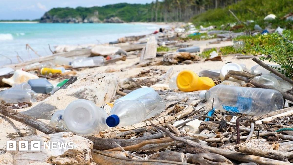 Ocean plastic tide 'violates the law' - BBC News