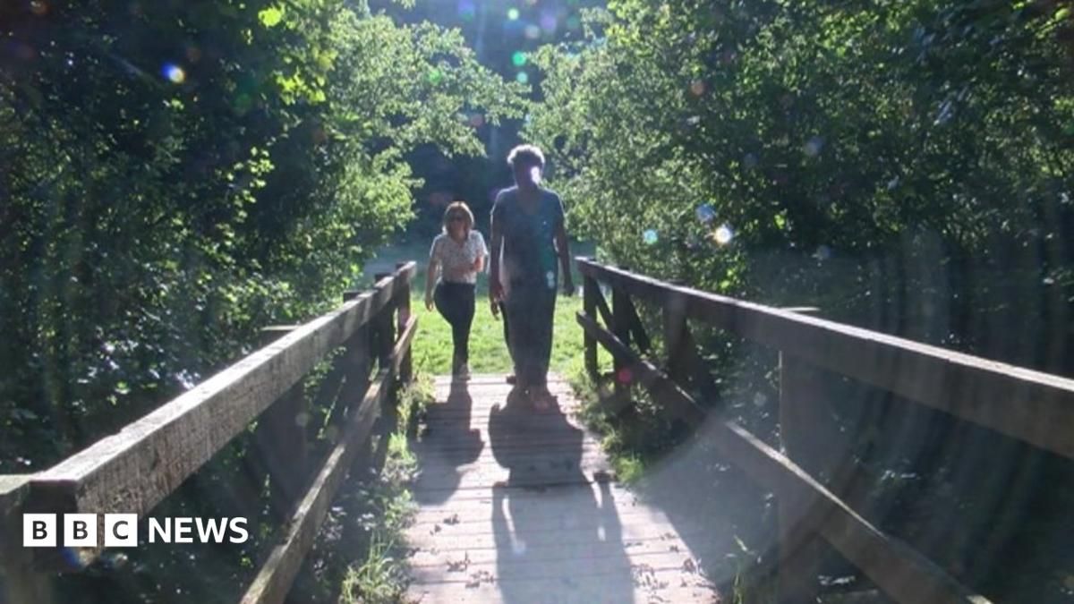 Campaigners fight plans for dam in woods near Dinas Powys - BBC News