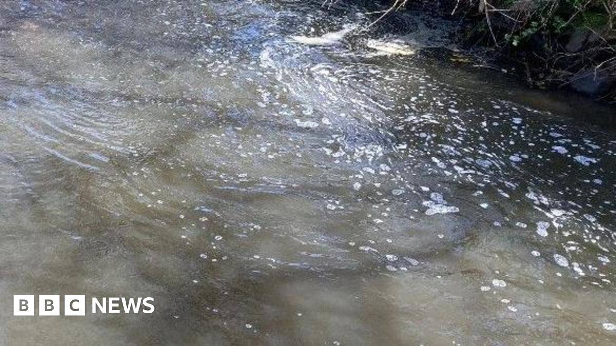 Tredington farmer fined over slurry pollution in River Swilgate - BBC News