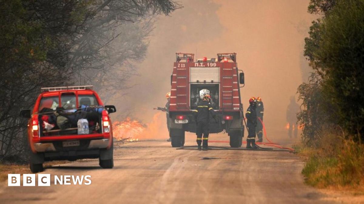 Greece wildfires: Eighteen bodies found in Greek forest - BBC News