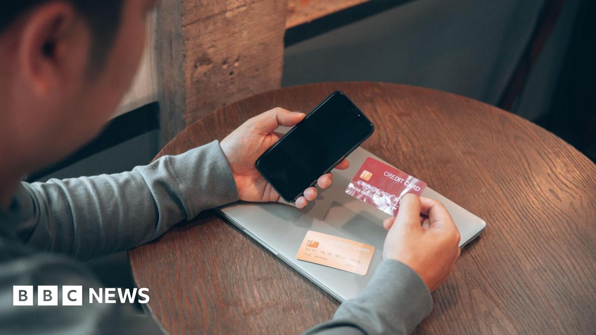 Bank transfers could be delayed for four days to investigate fraud ...