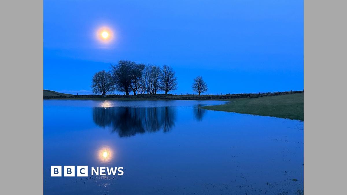 In pictures: Cold Moon over Scotland - BBC News