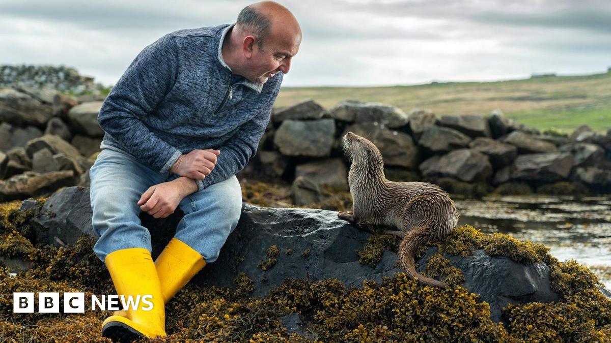 Man's bond with orphaned otter becomes a movie hit - BBC News