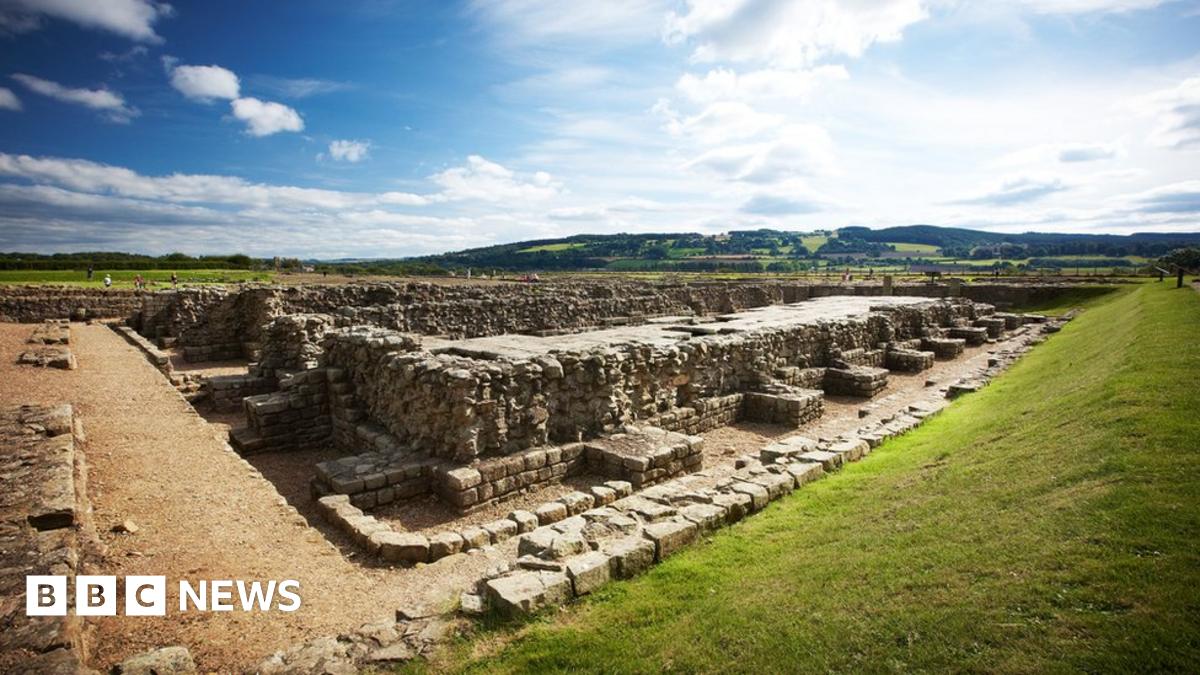 Illegal 'nighthawks' target historic Corbridge site - BBC News