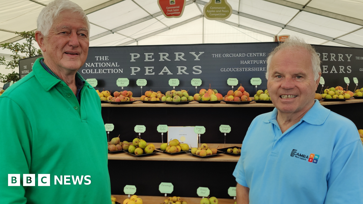 Heritage trust wins Camra award for saving UK perry pears - BBC News