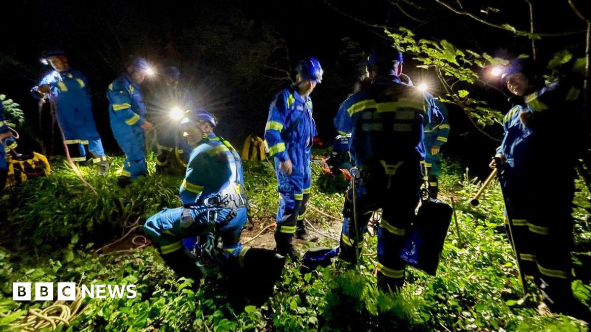 Charged phone helps in Devon woodland rescue mission - BBC News