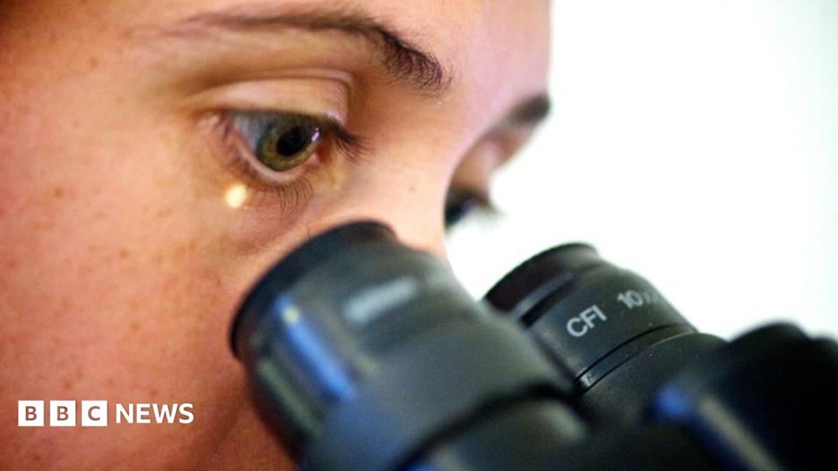£17m fund to attract top scientists to Welsh universities - BBC News