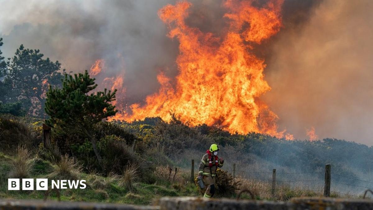 Major wildfire 'was started deliberately' - BBC News