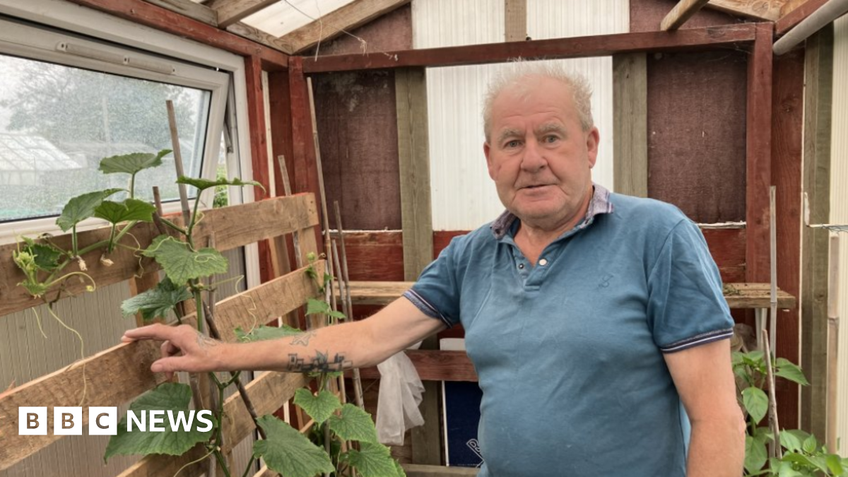 Grimsby gardeners' plea over leak at 'parched' allotments - BBC News
