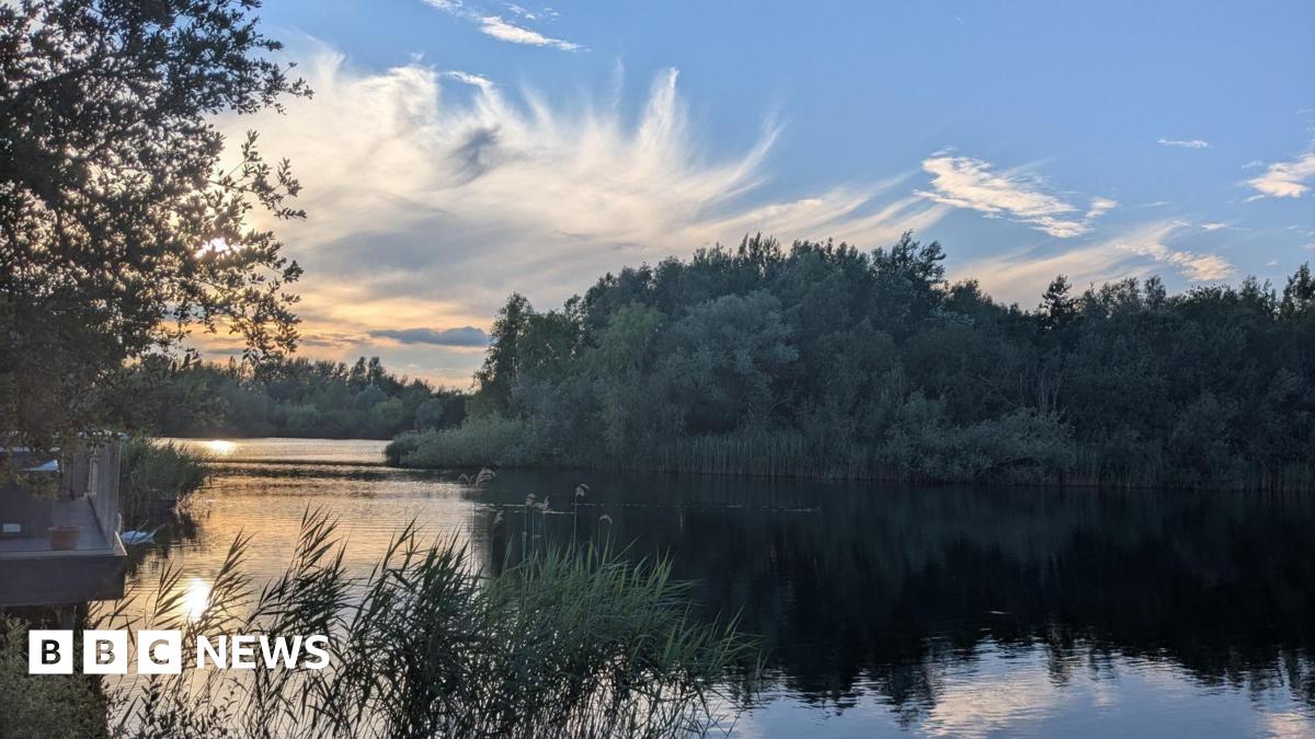 Codemiko leak porn has a small dog on the premises as well