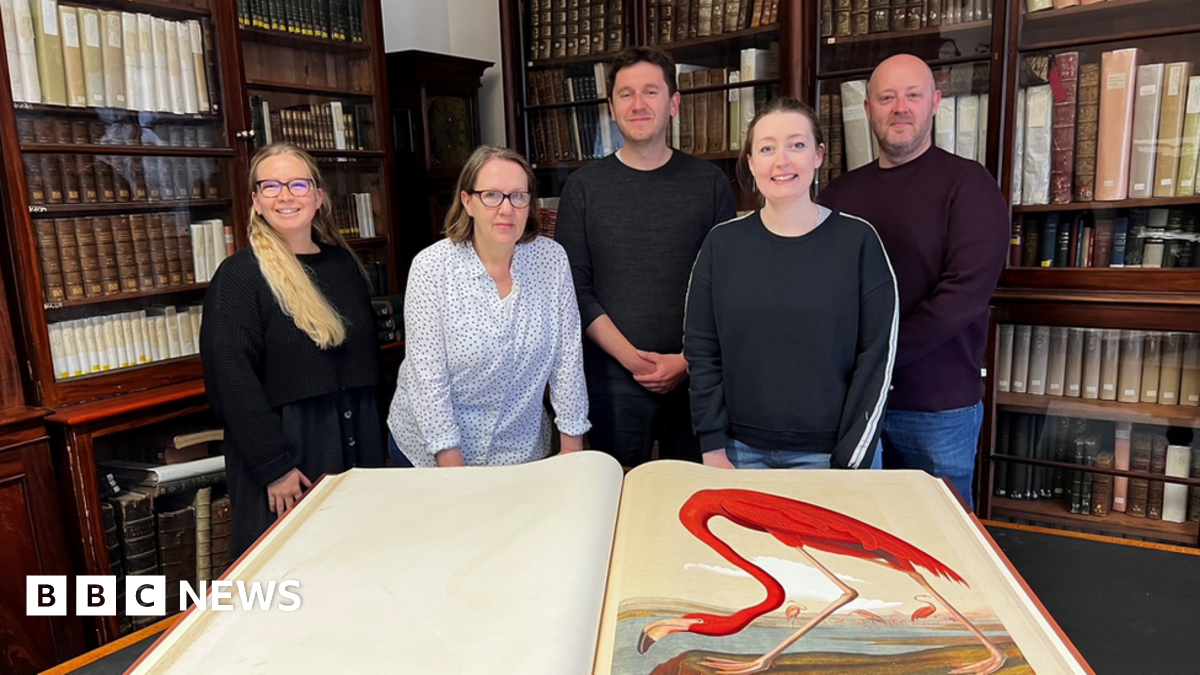 National award for Guernsey library exhibition - BBC News