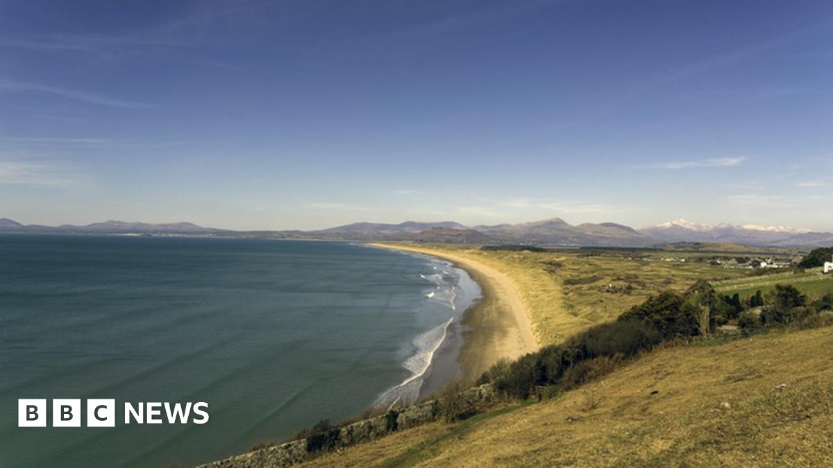Farmers 'misunderstand' Wales rewilding project - BBC News