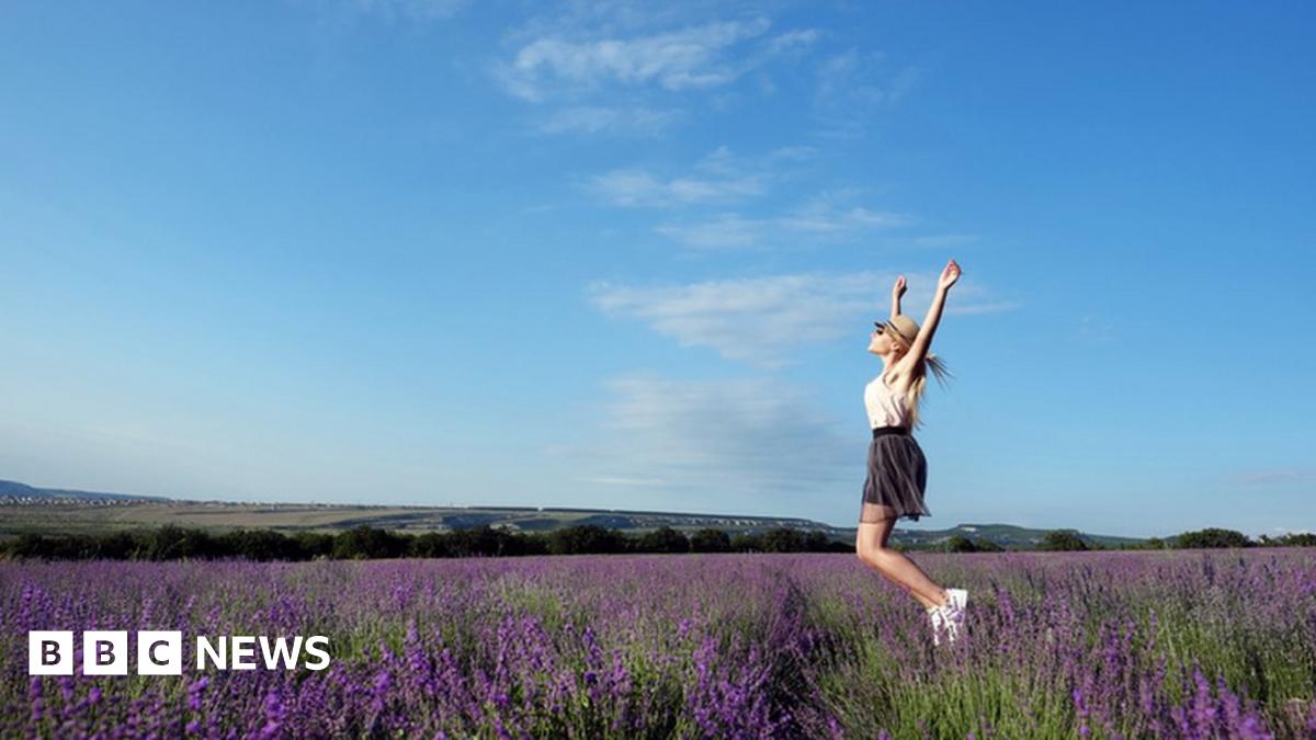 UK heatwave 2018: The winners and losers - BBC News