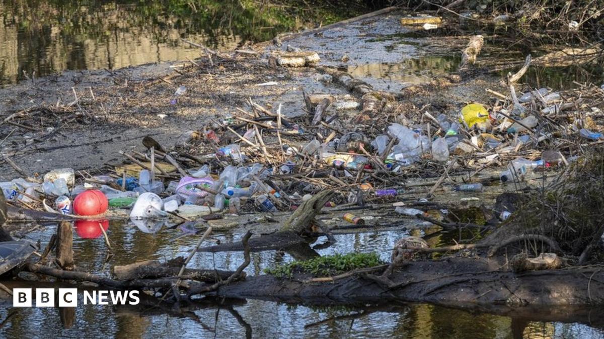 England river clean-up effort ‘poor’, says watchdog - BBC News