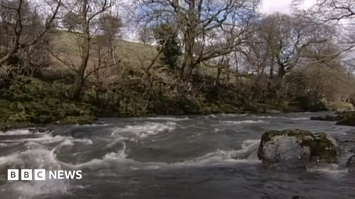 Rower dies after falling from boat into the River Lune - BBC News