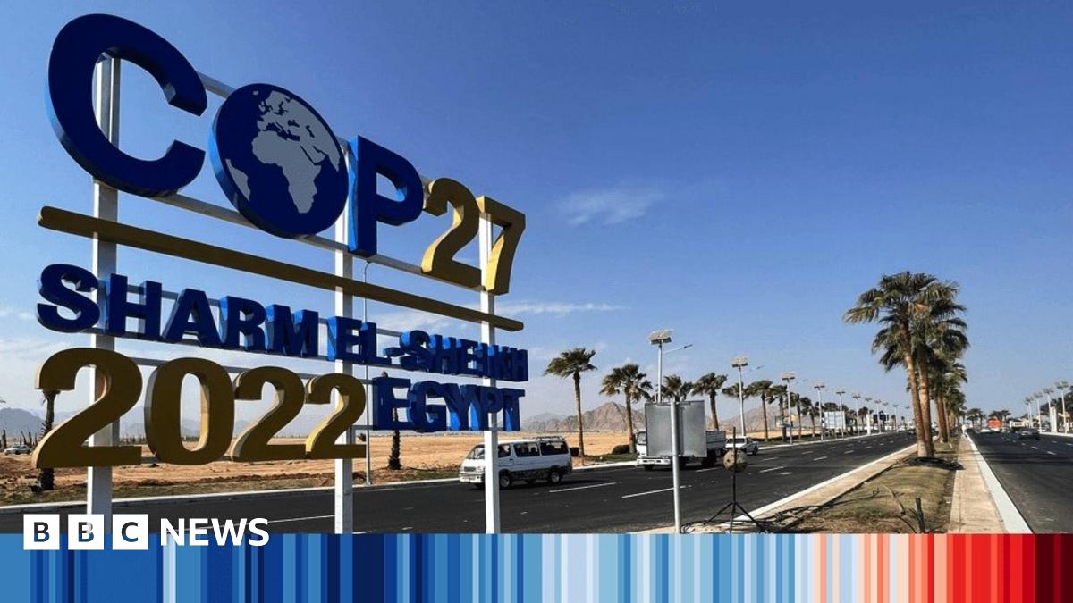 What is COP27 and why is it important? - BBC News