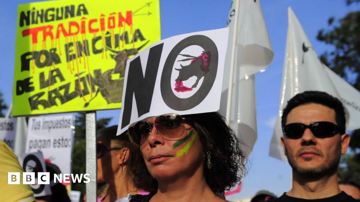 Spain bullfighting: Thousands rally in Madrid to demand ban - BBC News