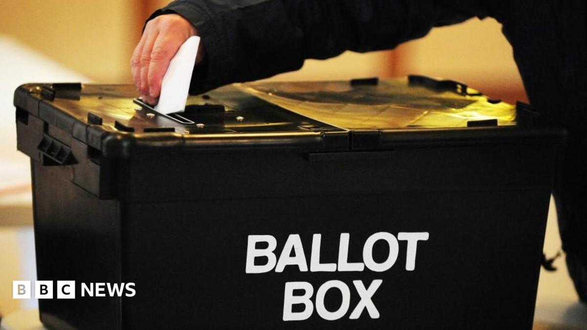 The candidates set for Wellingborough by-election - BBC News