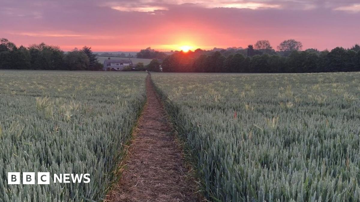 England's Big Picture: 3 - 9 June - BBC News