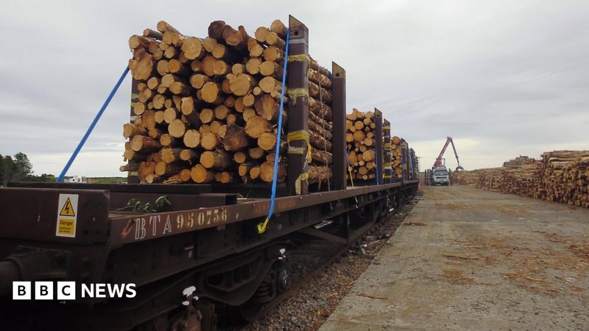 Trial sees timber transporter swap trucks for rail - BBC News