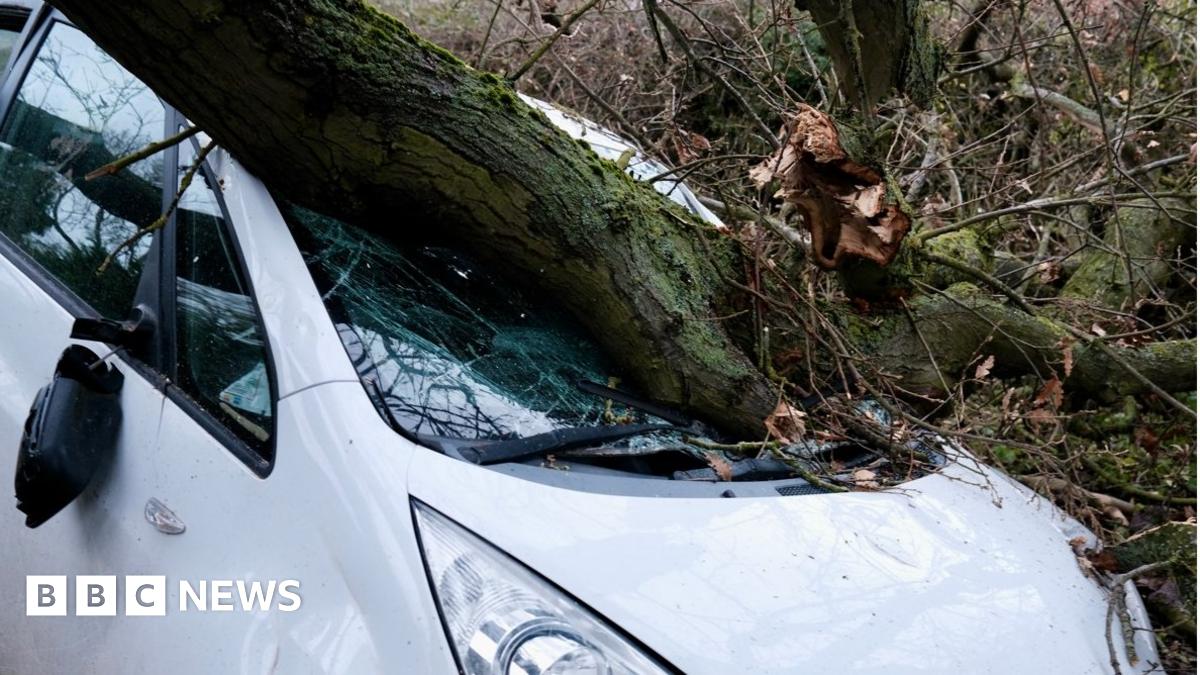 Women have 'lucky escape' as tree falls on car in storm - BBC News