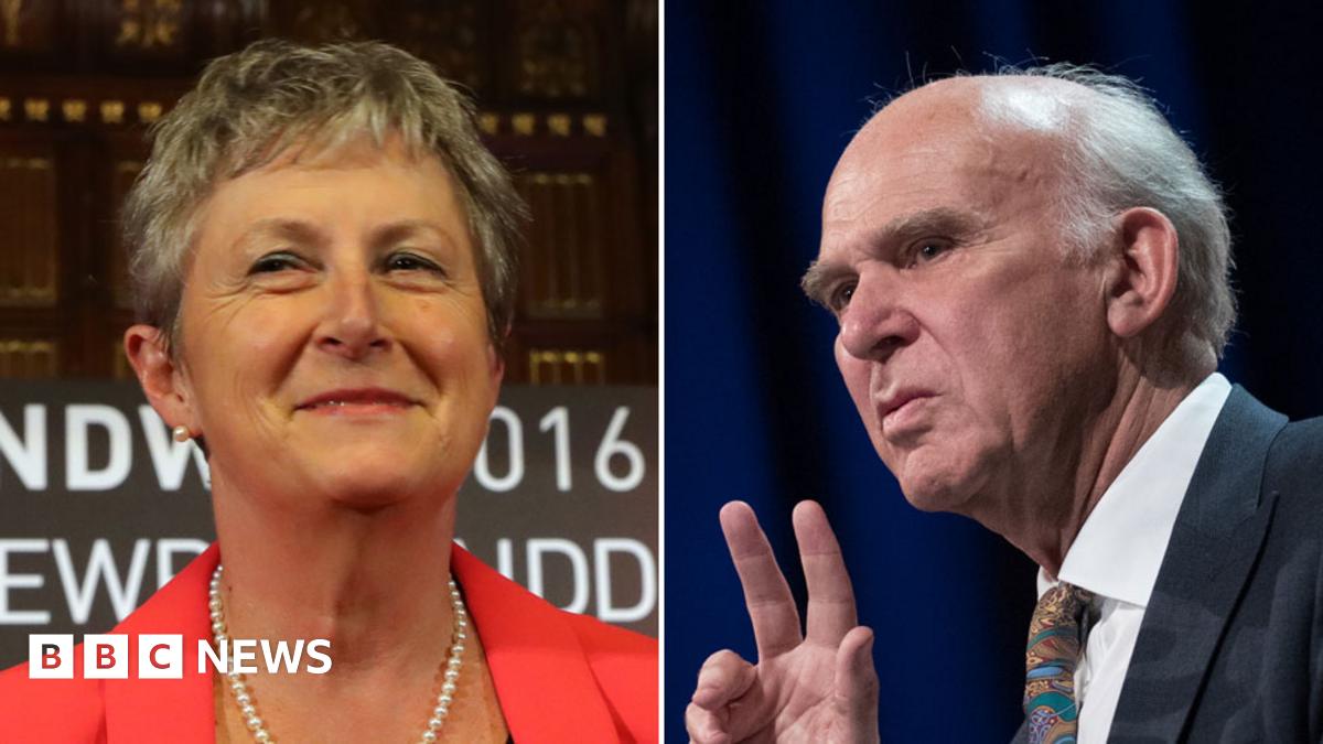 Brexit: Can Leavers and Remainers call a Christmas truce? - BBC News