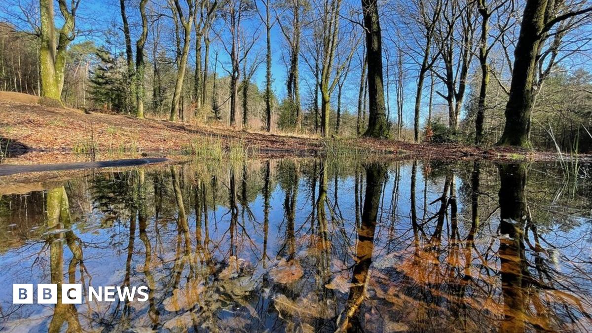 Dorset's Big Picture: 4 March - 10 March 2024 - BBC News