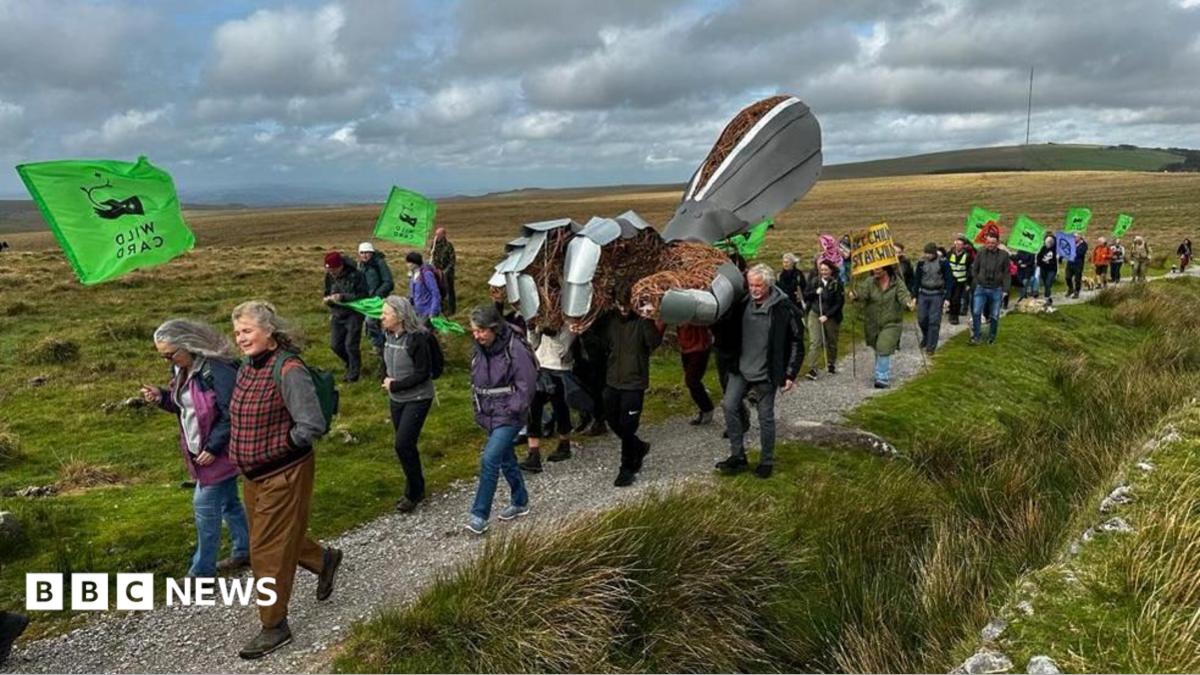 Campaigners call on Prince William to 'do more' with Dartmoor - BBC News