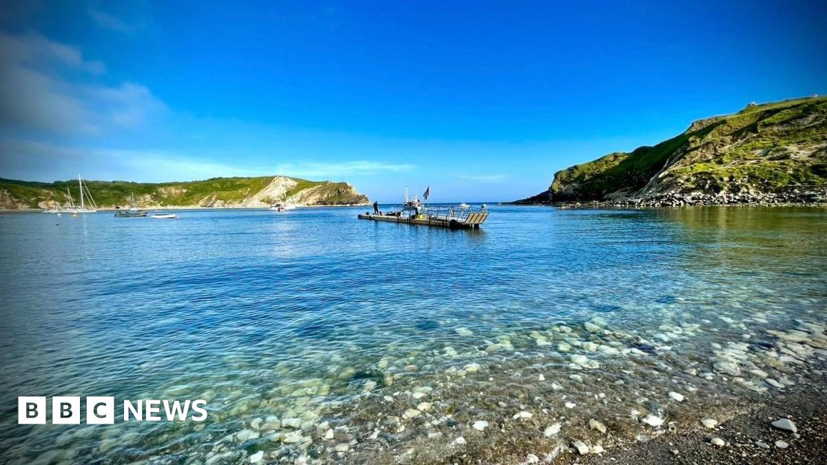 Big Picture This Weeks Images From The South Of England Bbc News
