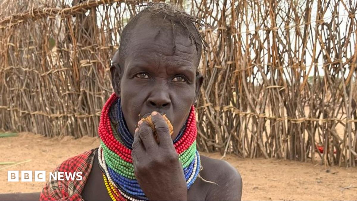 Kenya food crisis: Desperate people turn to the gingerbread tree in ...