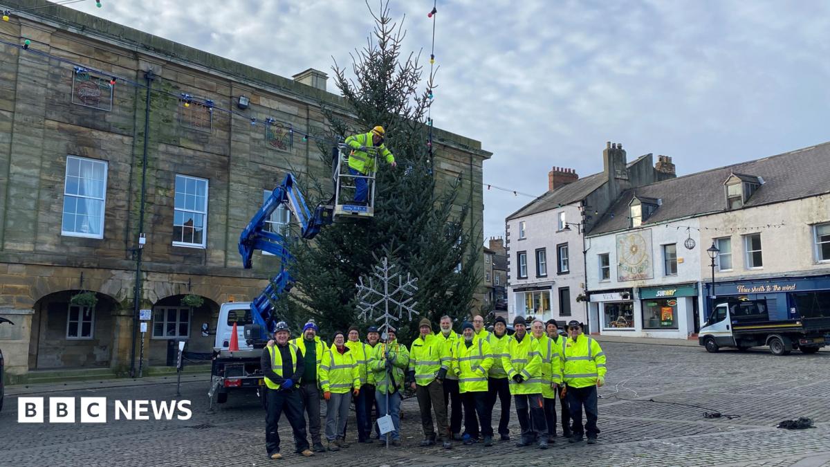 Alnwick's tiny Christmas tree replaced by bigger one - BBC News