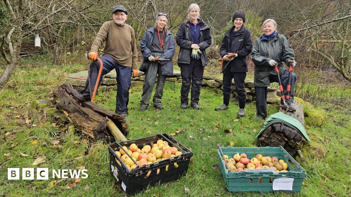 Hundreds sign petition to save Bradford community orchard - BBC News