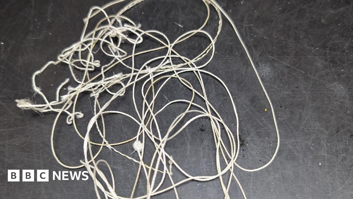 Bradford: Litter warning after gull tangled in string put down - BBC News