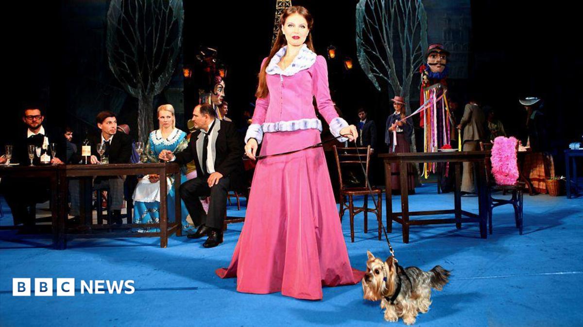 Dog wanted for starring role in La Boheme opera in Bournemouth - BBC News