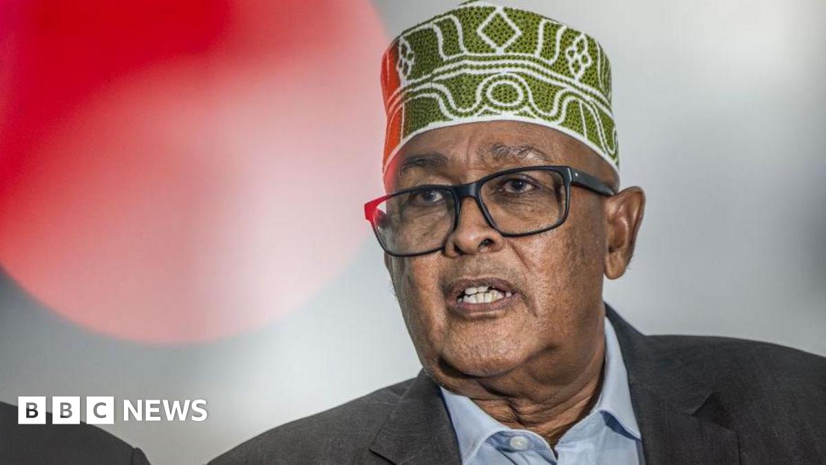 Somaliland opposition leader Abdirahman Mohamed Abdullahi 'Irro' wins presidential vote - BBC News