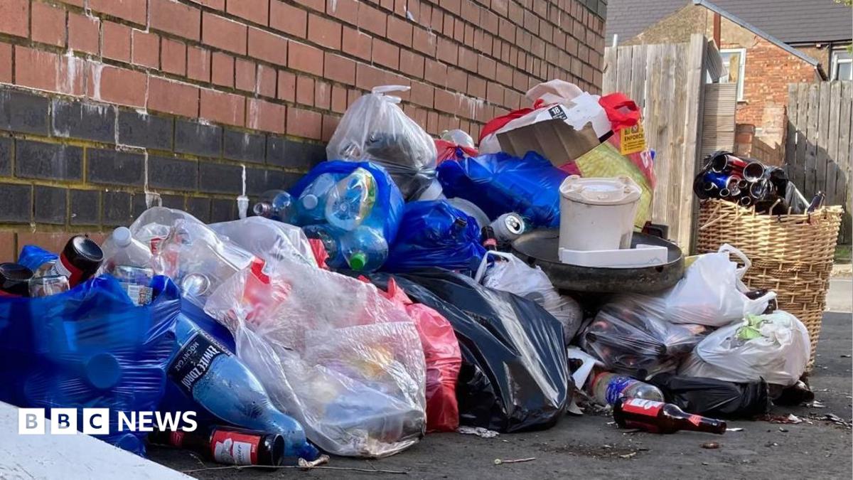 Liverpool's fines for fly-tipping, littering and dog poo to rise - BBC News