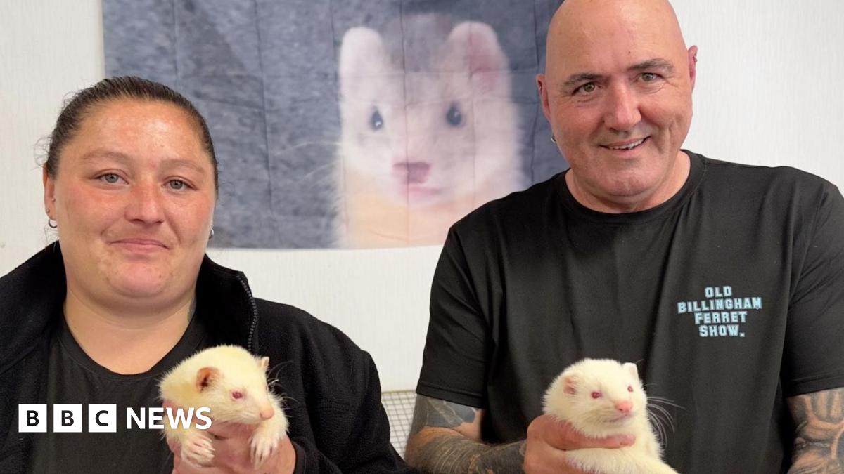 Teesside and County Durham stories you may have missed this week - BBC News