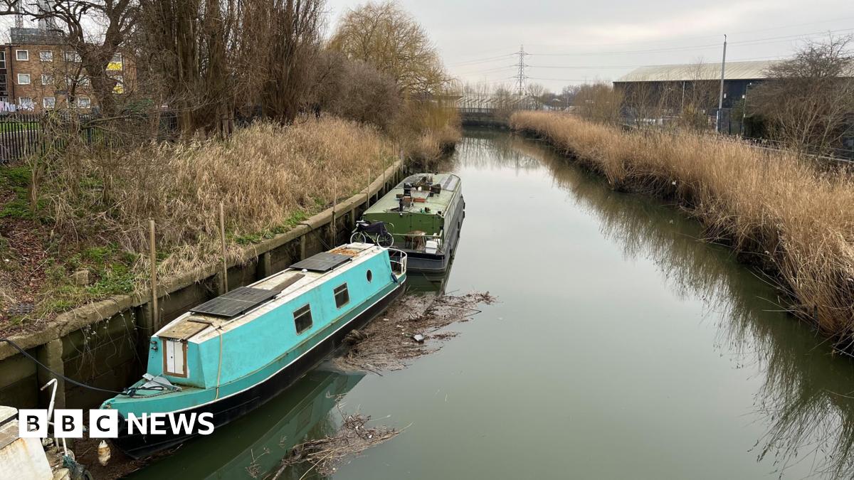 Can London's rivers be clean enough for swimming within 10 years? - BBC ...