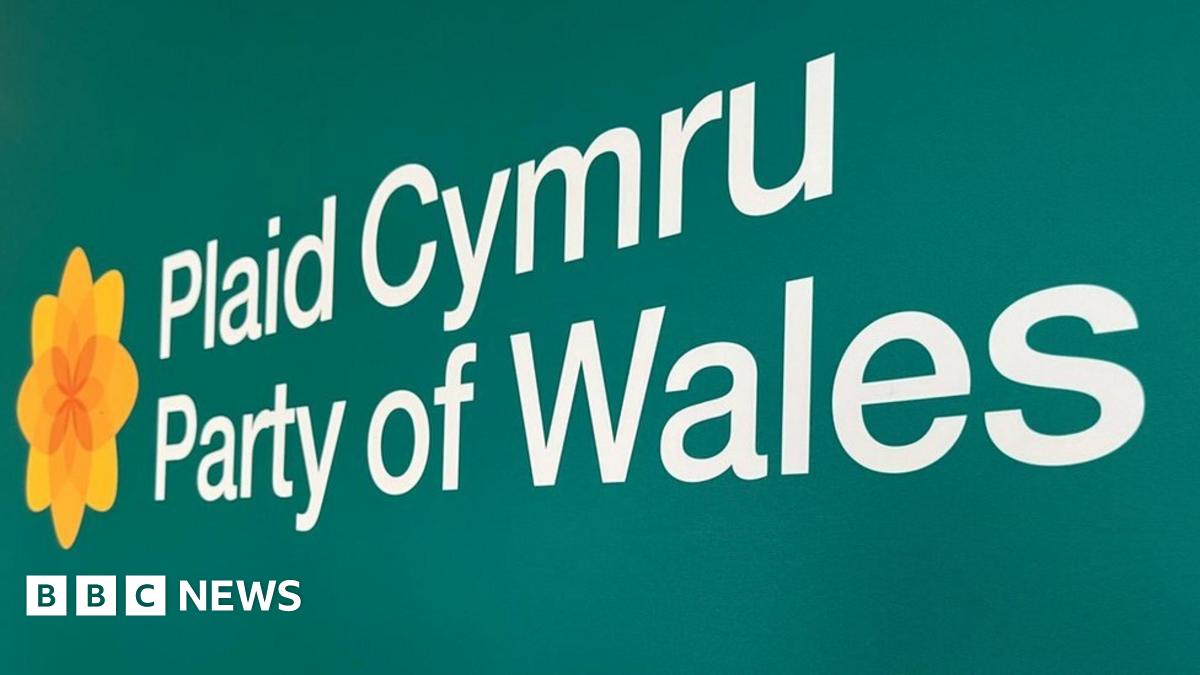 Real splits within Plaid Cymru, MP Hywel Williams claims - BBC News